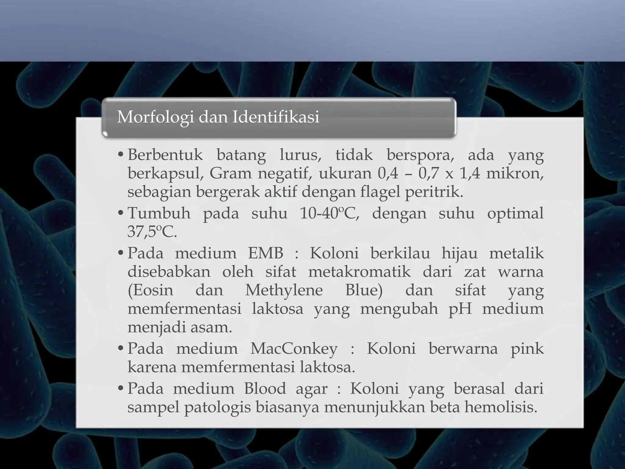 BAKTERIOLOGI 1 - BAKTERI BATANG GRAM POSITIF DAN GRAM NEGATIF - 2021.pptx