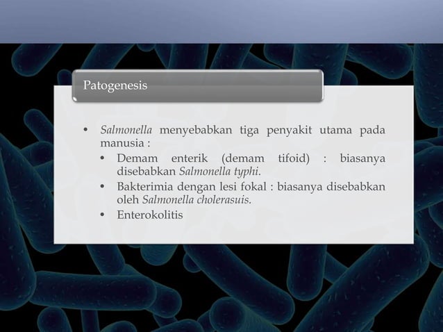 BAKTERIOLOGI 1 - BAKTERI BATANG GRAM POSITIF DAN GRAM NEGATIF - 2021.pptx
