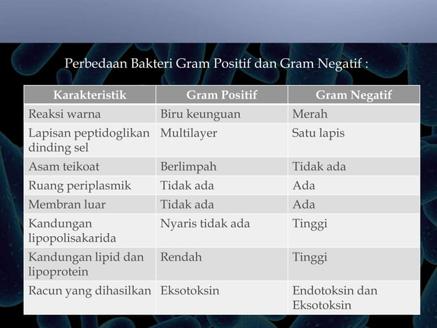 BAKTERIOLOGI 1 - BAKTERI BATANG GRAM POSITIF DAN GRAM NEGATIF - 2021.pptx