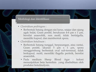 BAKTERIOLOGI 1 - BAKTERI BATANG GRAM POSITIF DAN GRAM NEGATIF - 2021.pptx