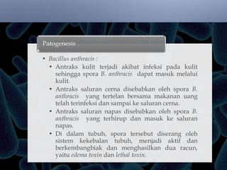 BAKTERIOLOGI 1 - BAKTERI BATANG GRAM POSITIF DAN GRAM NEGATIF - 2021.pptx