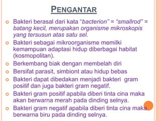 Bakteriologi dasar kuliah | PPTX