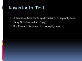 Bakteriologi infeksi kulit & jaringan lunak (S1 FK UNAIR) | PPT
