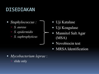 Bakteriologi infeksi kulit & jaringan lunak (S1 FK UNAIR) | PPT