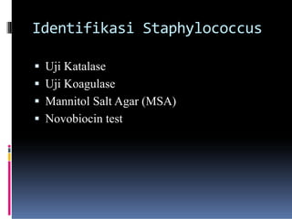 Bakteriologi infeksi kulit & jaringan lunak (S1 FK UNAIR) | PPT