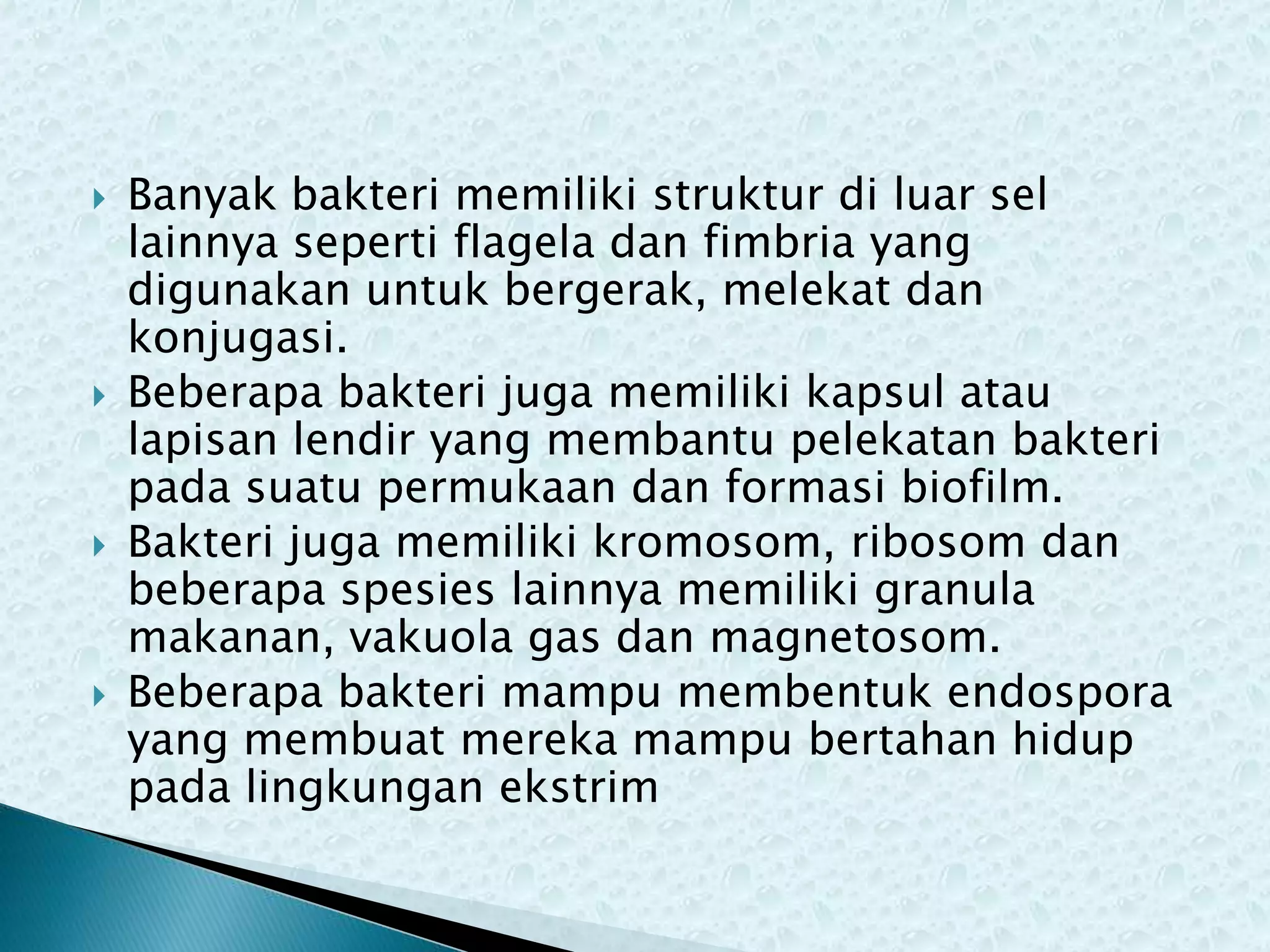 Bakteriologi | PPTX