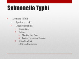 Bakteriologi (sistem Alimentari) | PPT