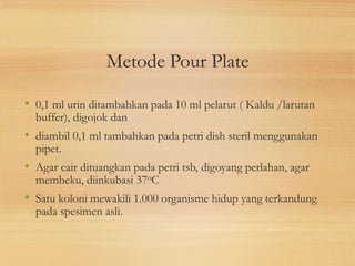 DASAR DASAR BAKTERIOLOGI URINE SLIDE.pdf