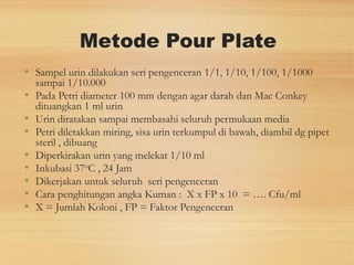 DASAR DASAR BAKTERIOLOGI URINE SLIDE.pdf