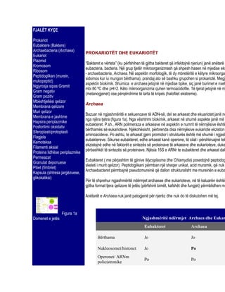 Bakteriologjia | DOC