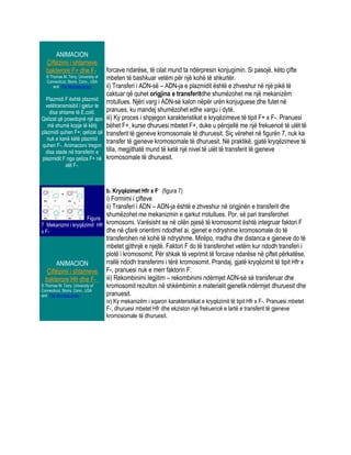 Bakteriologjia | DOC