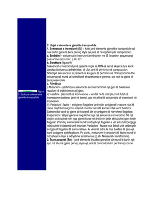 Bakteriologjia | DOC