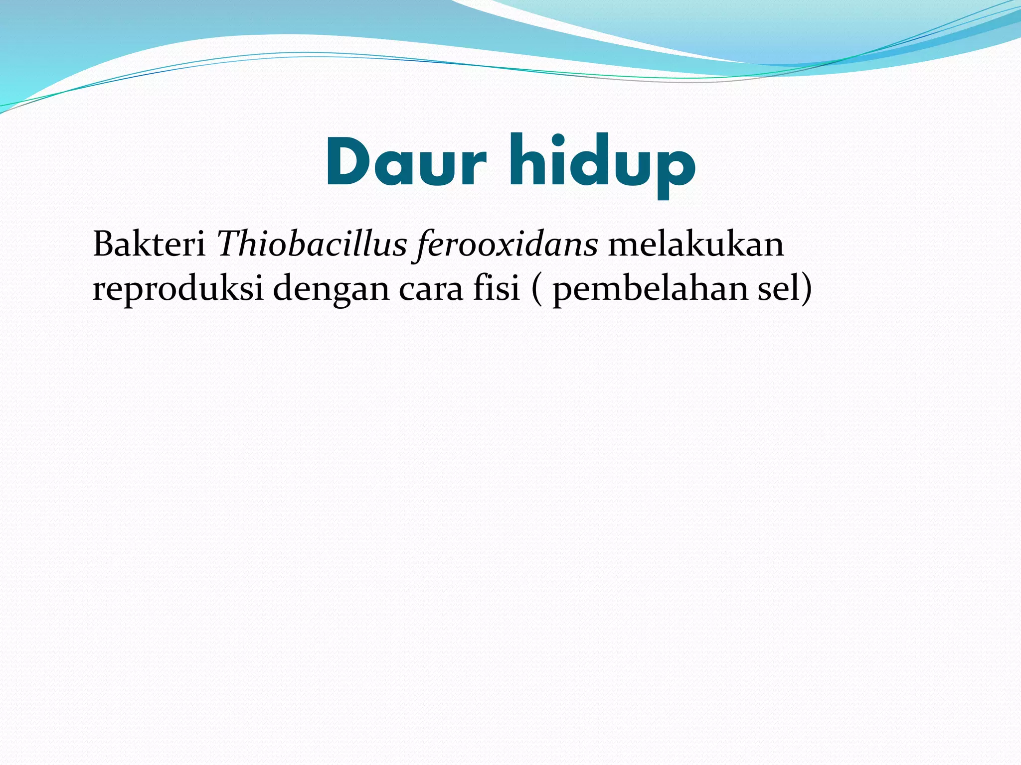 Bakteri pereduksi zat besi | PPTX