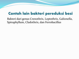 Bakteri pereduksi zat besi | PPT