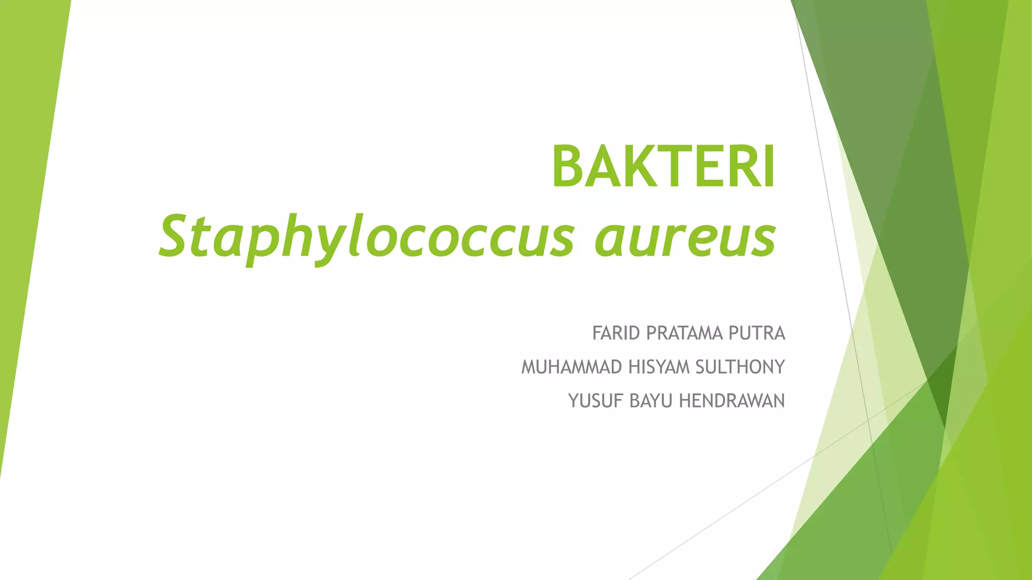Bakteri Staphylococcus aureus | PPTX
