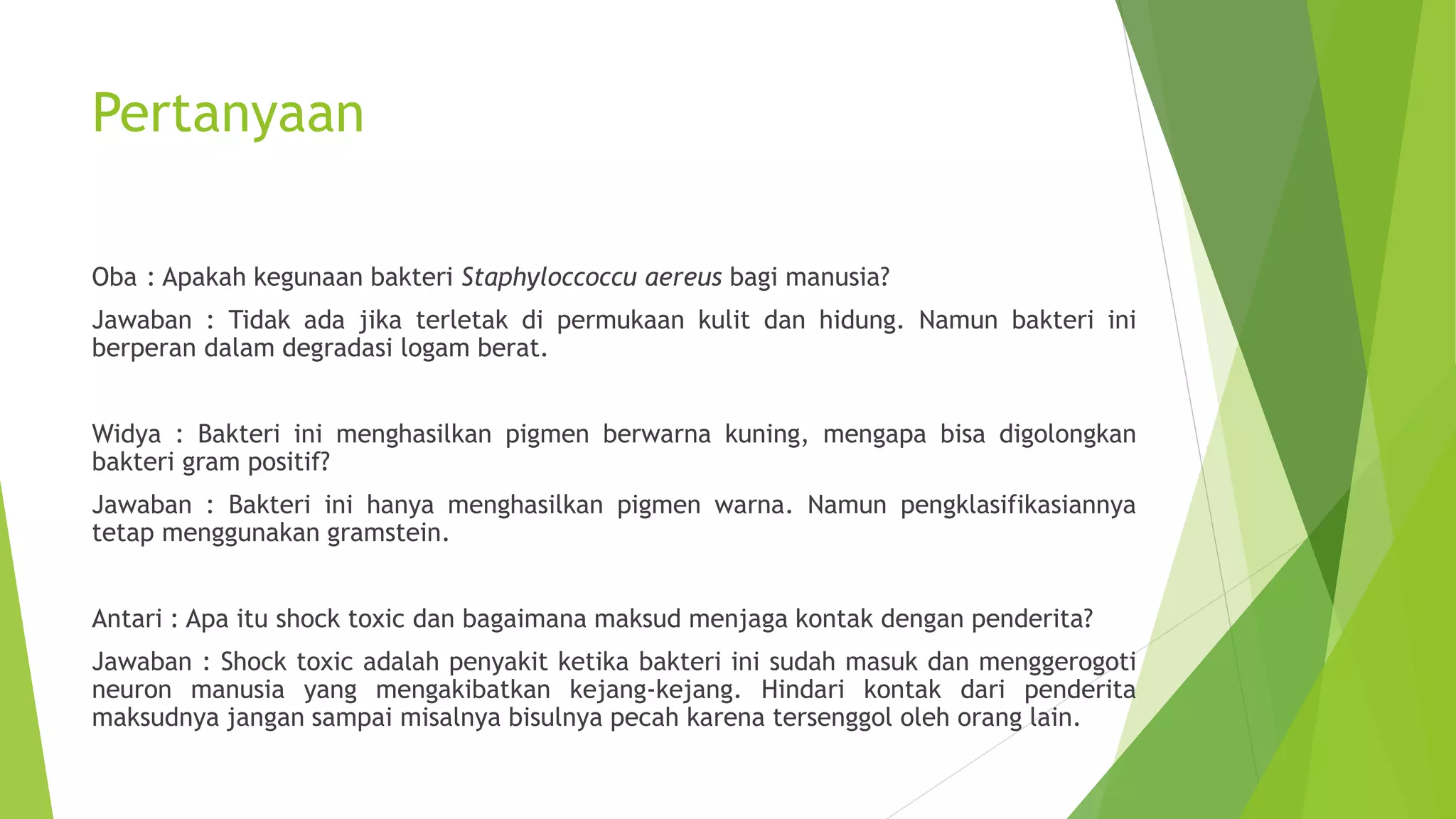 Bakteri Staphylococcus aureus | PPTX