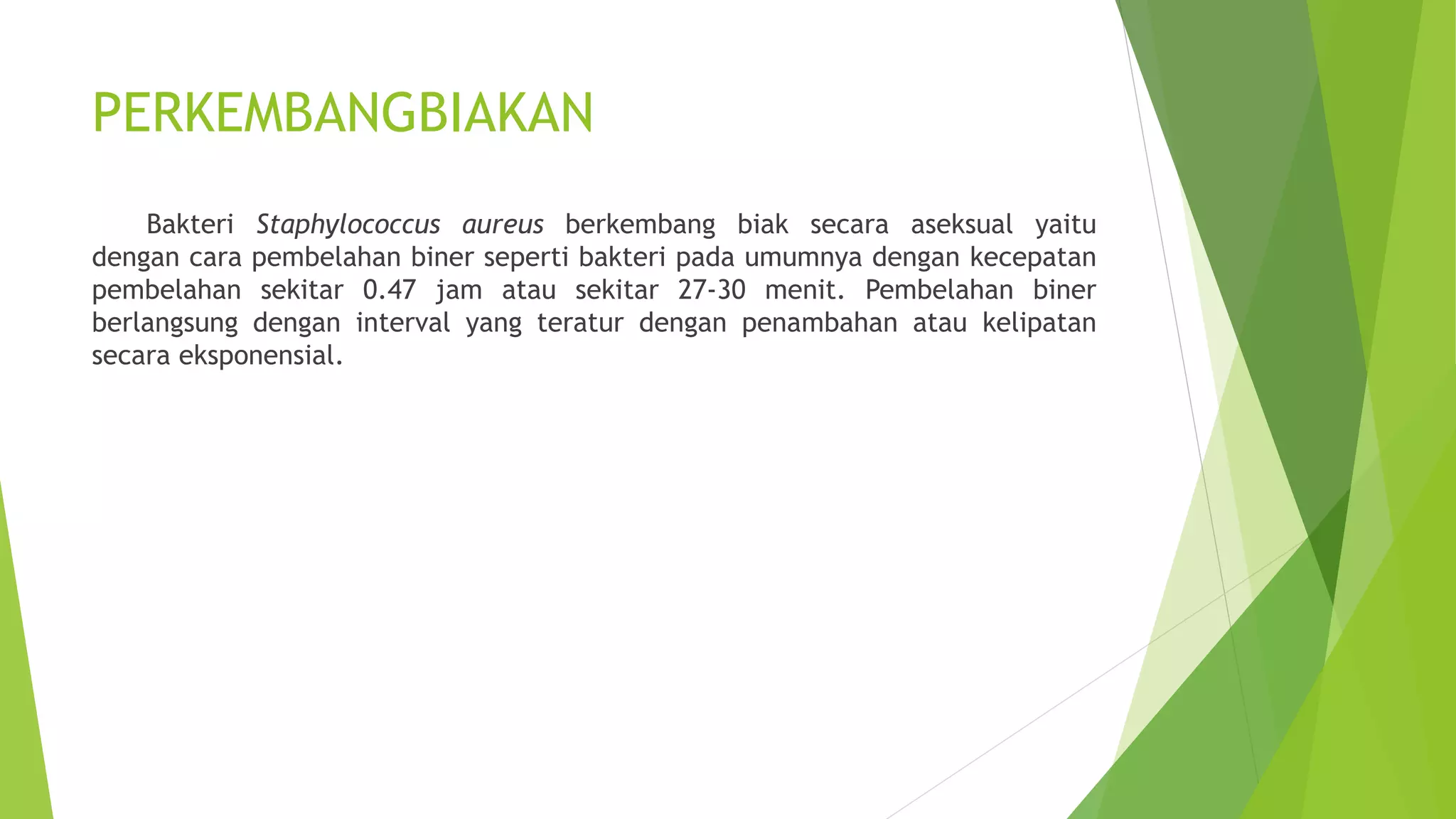 Bakteri Staphylococcus aureus | PPTX