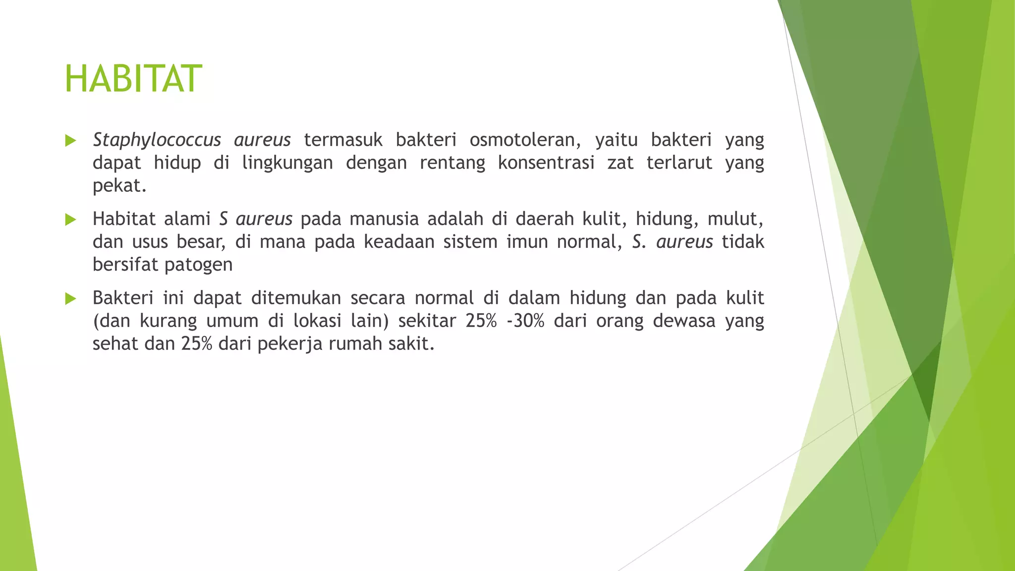 Bakteri Staphylococcus aureus | PPTX