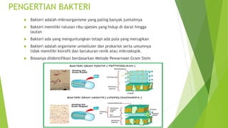 Bakteri Staphylococcus aureus | PPTX