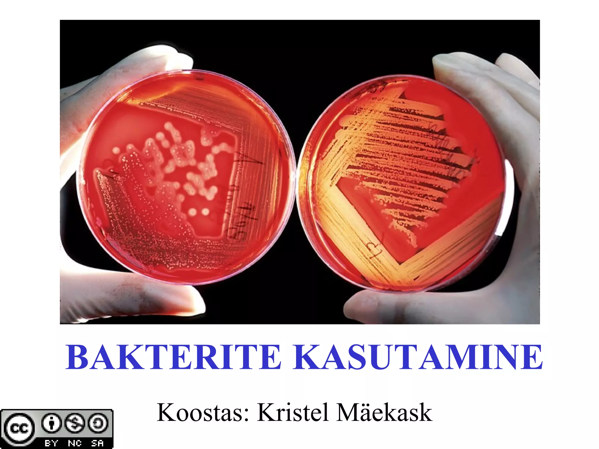 Bakterite kasutamine | PPT