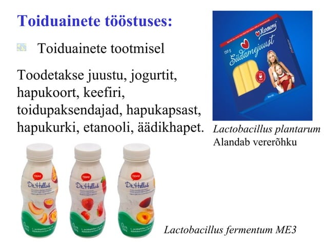Bakterite kasutamine | PPT