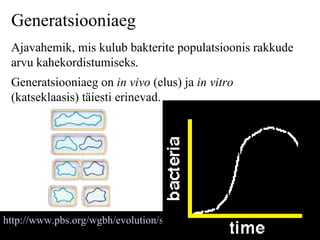 Bakterite paljunemine ja ainevahetus | PPT