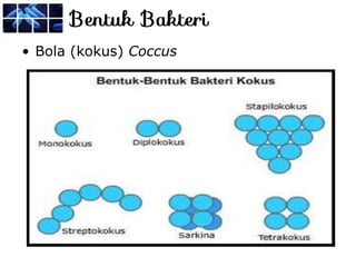 Bakteri thermofilik, mesofilik dan psikrofilik | PDF