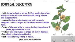 bala.pptx dravya guna presentation ayurveda | PPTX