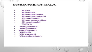 bala.pptx dravya guna presentation ayurveda | PPTX
