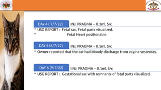 Medical termination of pregnancy in dogs | PPTX