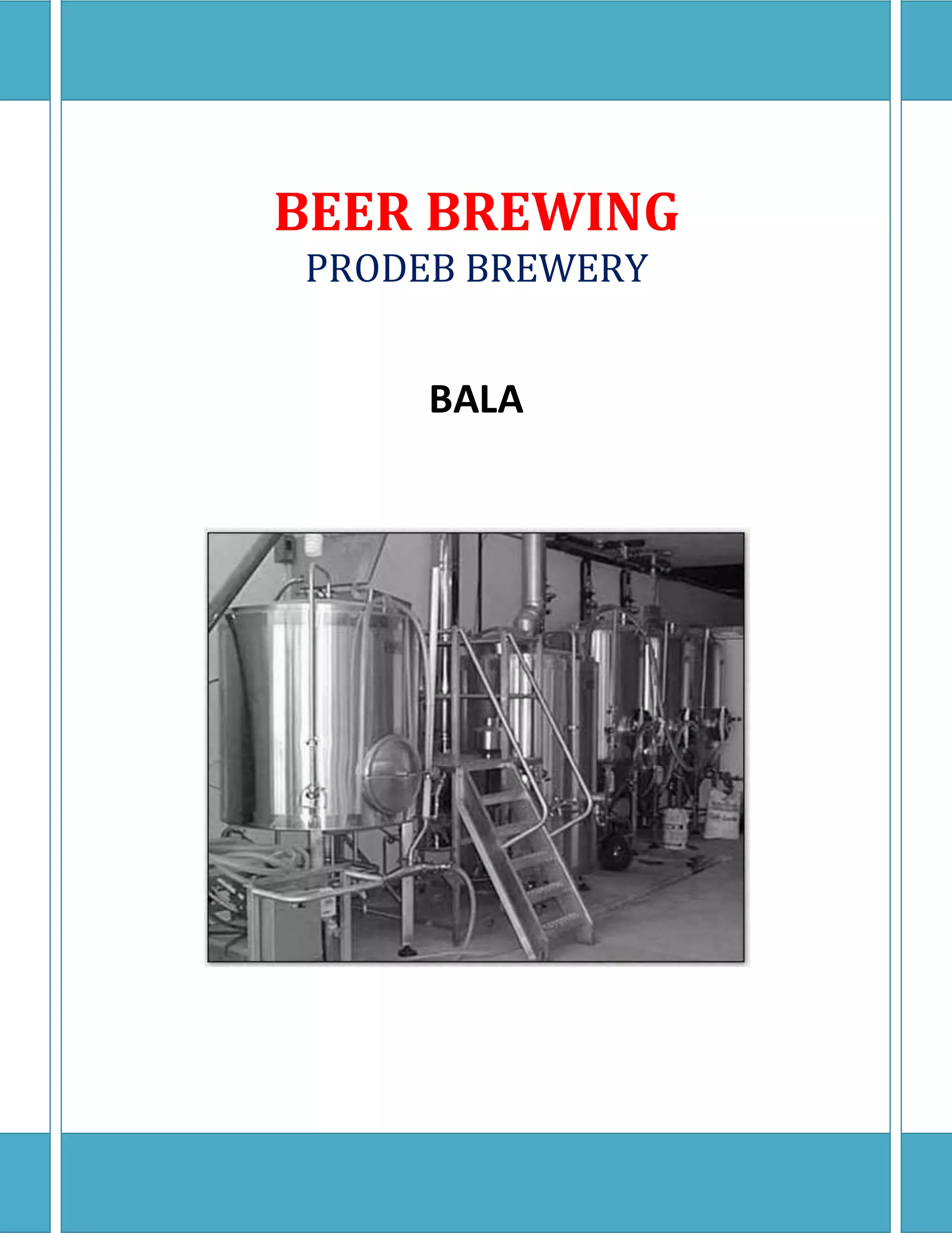 Beer Brewing Process | DOCX