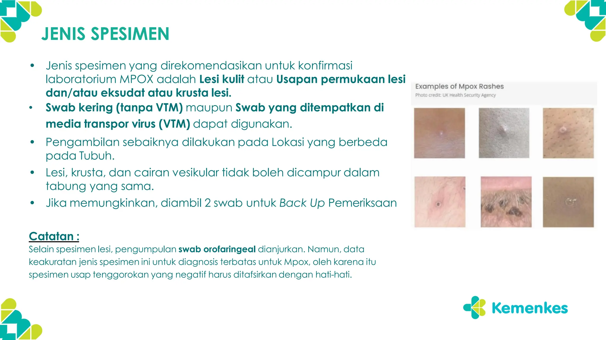 Balai Besar Laboratorium Biologi Kesehatan Kementerian Kesehatan ...