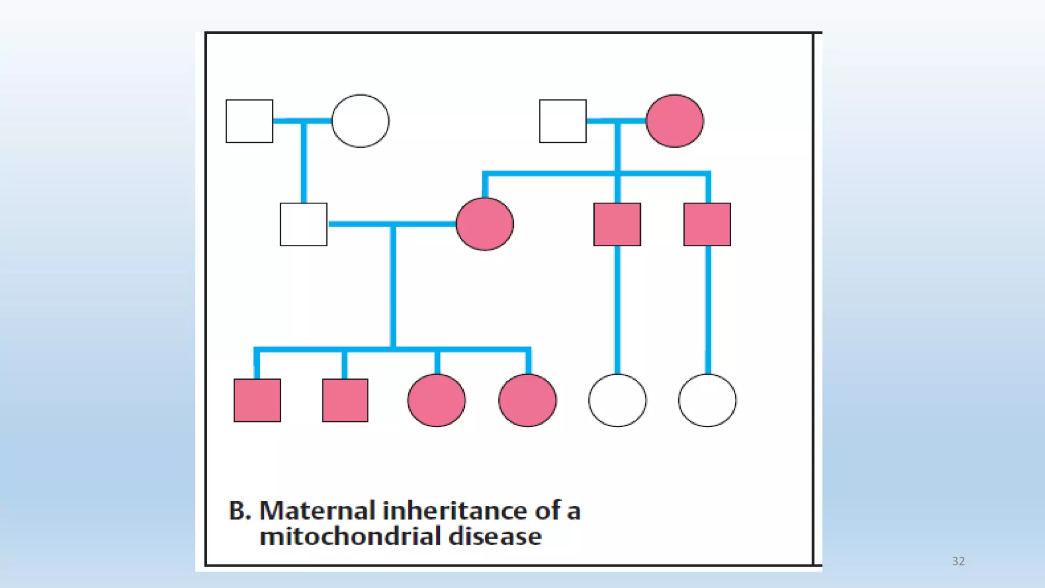 MITOCHONDRIAL GENETICS | PPTX
