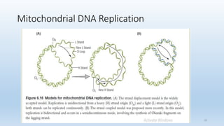 MITOCHONDRIAL GENETICS | PPTX