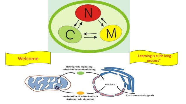 nucleo-cytoplasmic intraction,Anterograde and Retrograde singnaling ...