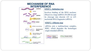 gene silencing-for disease managment | PPTX