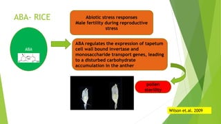 Role of harmones in male sterility for production of hybrid seed ...