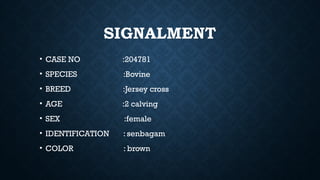 Farm ANIMAL Obstetrics and gynaecologist | PPT