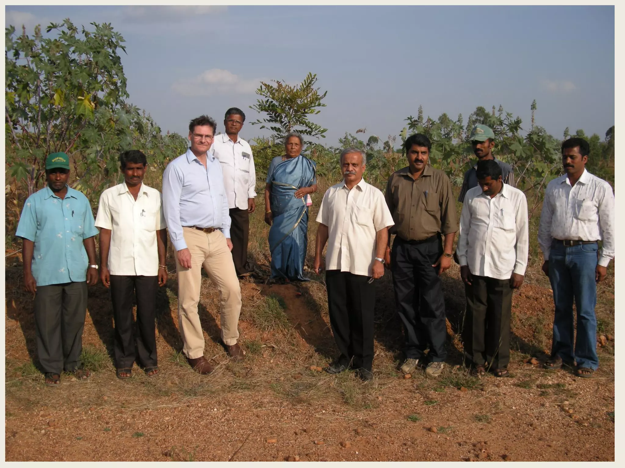 Agroforestry approach for sustainability in biofuel value chain | PDF