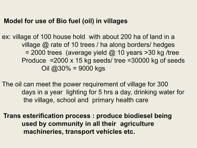 Agroforestry approach for sustainability in biofuel value chain