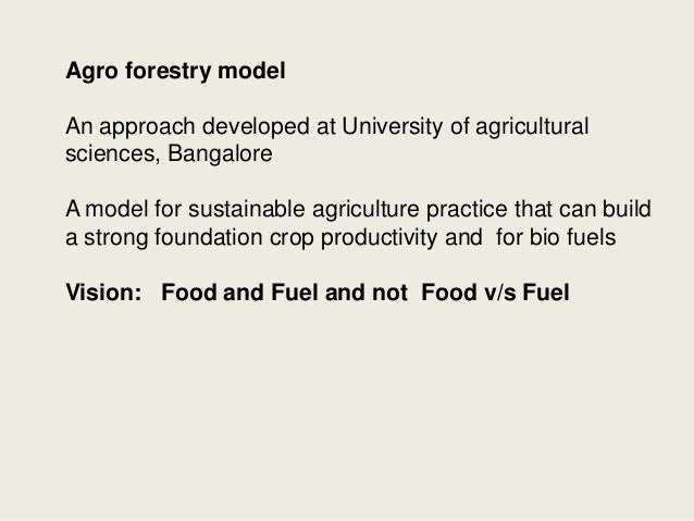 Agroforestry approach for sustainability in biofuel value chain