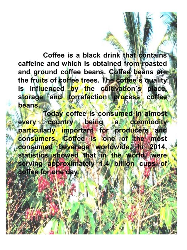 Coffee | PDF