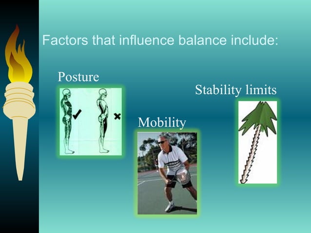 Balance Basics | PPT | Healthy Living