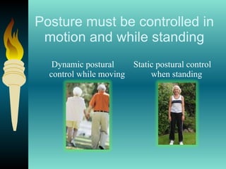 Balance Basics | PPT | Healthy Living