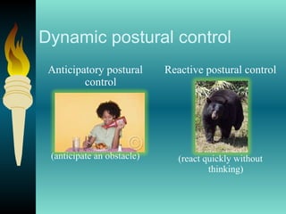 Balance Basics | PPT | Healthy Living