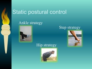 Balance Basics | PPT | Healthy Living