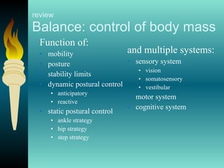 Balance Basics | PPT | Healthy Living