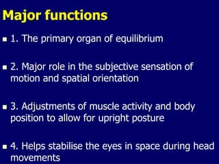 balance-110130141524-phpapp01.pptx