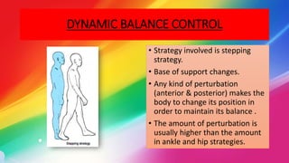 Balance Training in Athletes and Elderly (Rehabilitation) | PPTX