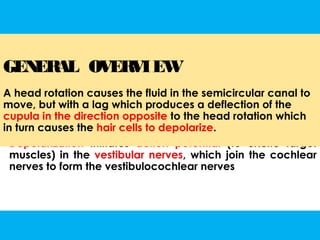 Vestibulary System | PPT
